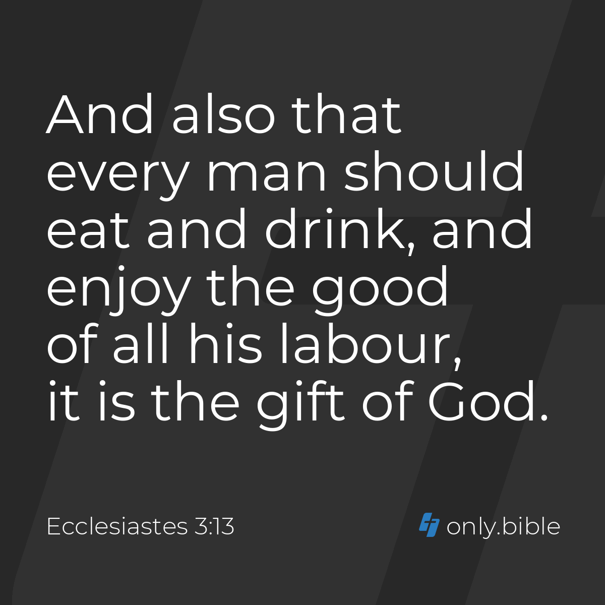 Bible Ecclesiastes 3 13 Ecclesiastes 3:12 13 NLT Bible Study,