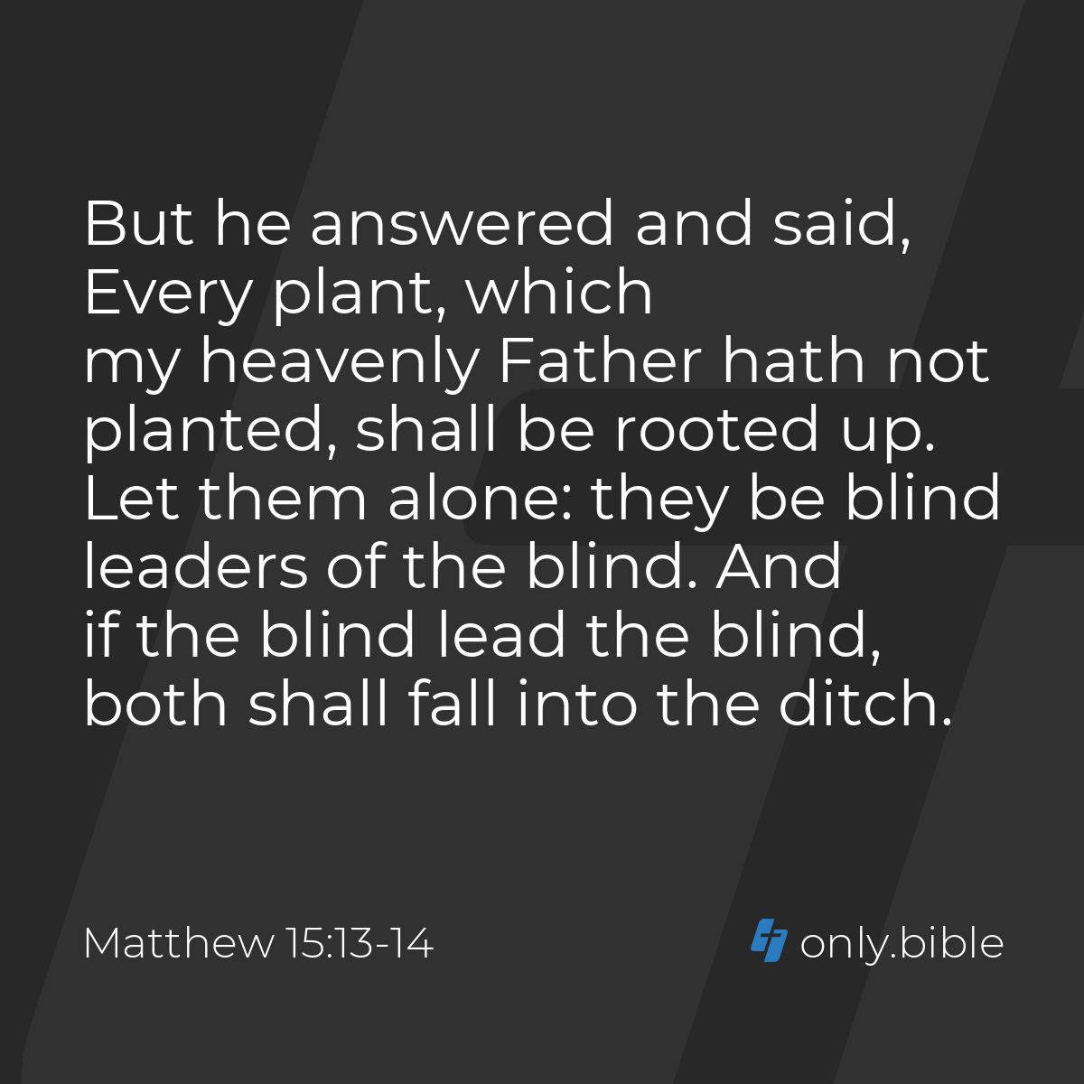 Matthew 14 Kjv
