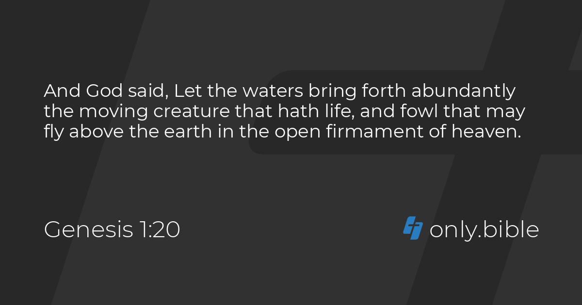 Genesis 1:20-22 / King James Version (with Apocrypha) | Bible Online